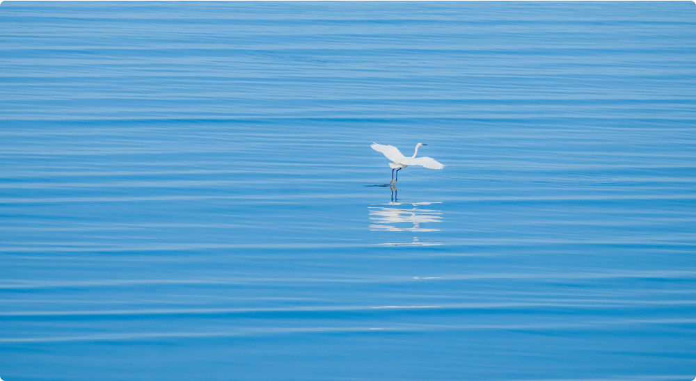 Hope UI React Pro | Responsive Bootstrap 5 Admin Dashboard Template